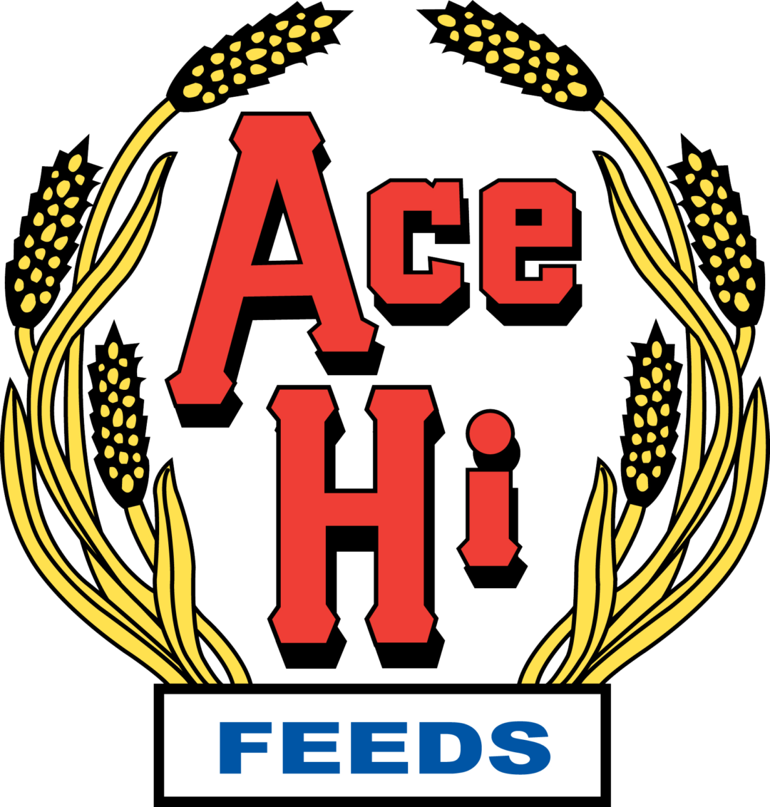 Ace Hi Feeds Starter/Grow Crumble [Food for Chicks 0-18 Weeks]