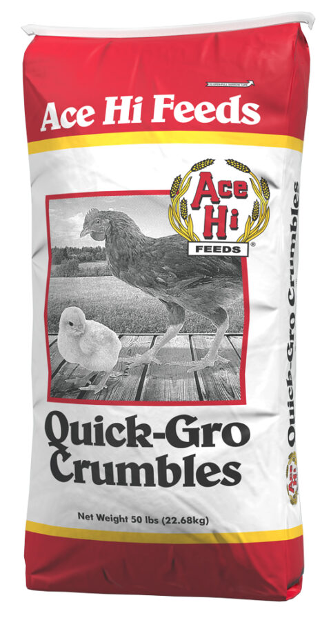 Ace Hi Quick-Gro Crumbles Chicken Feed | Star Milling Co