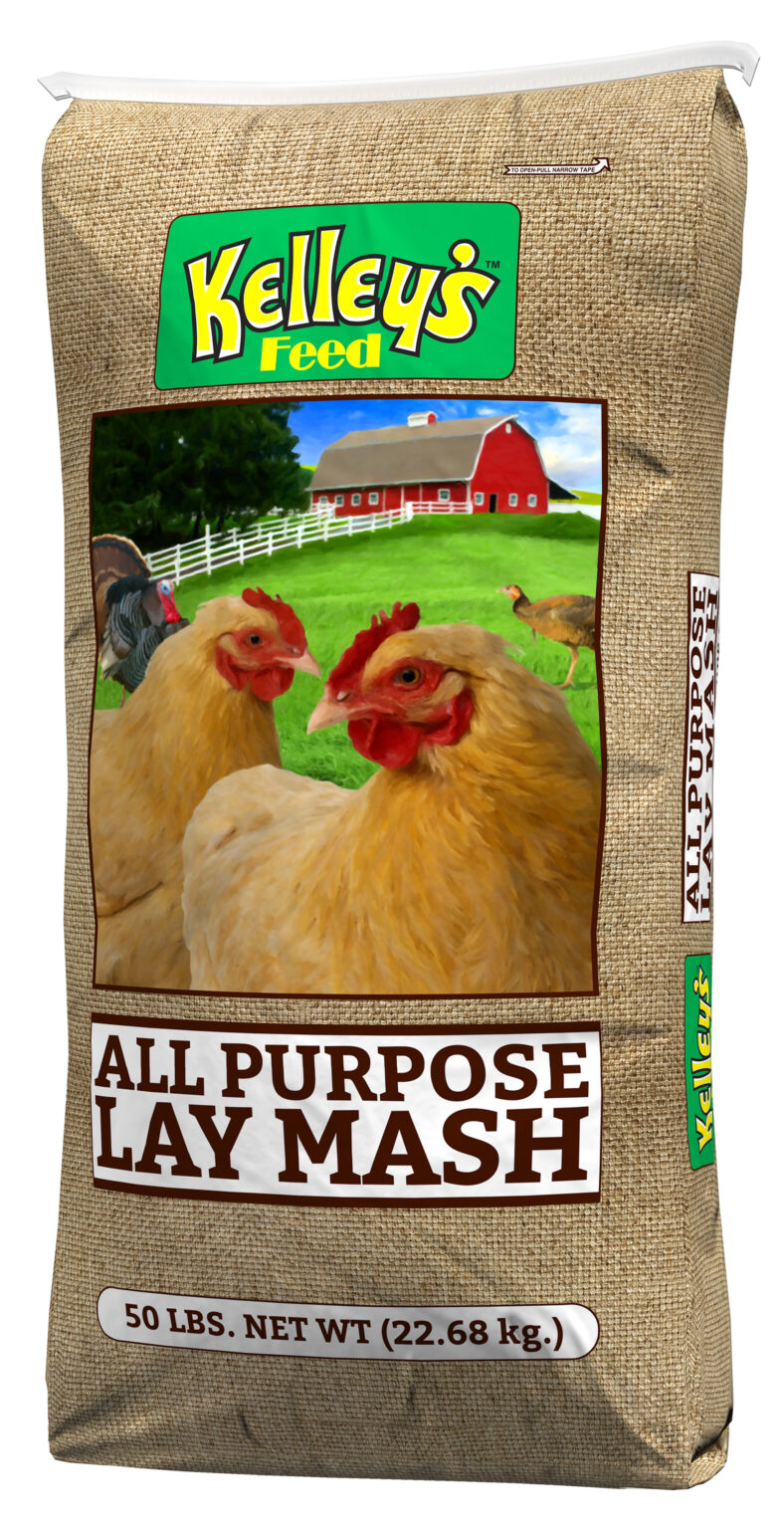 Kelley's Lay Mash: Chicken Feed for Layer Hens | Star Milling