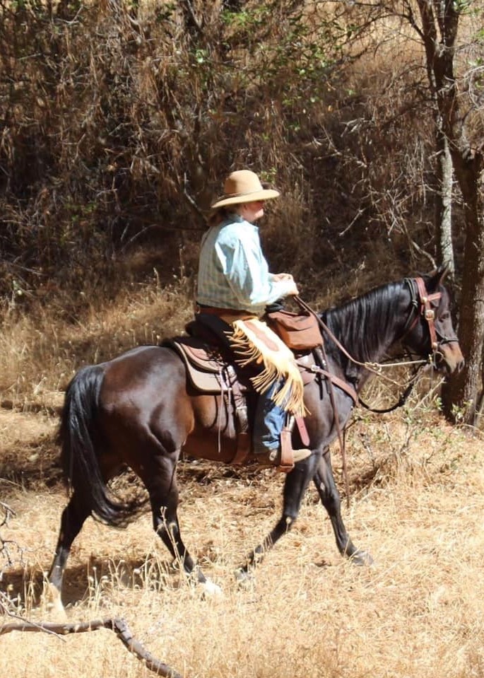 Star Milling - Animal Feed Manufacturers for 3 Generations