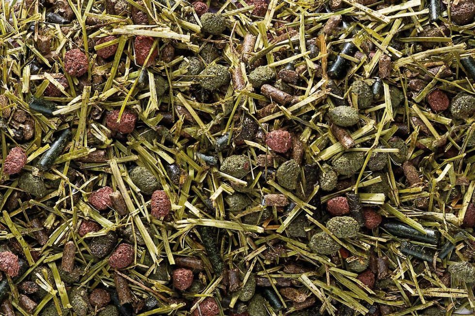 Cavalor FiberForce - Horse Feed for Digestion Aid | Star Milling Co.