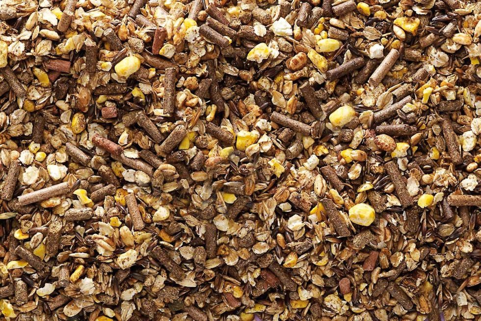 Sports Mix Horse Feed - Cavalor Perfomix | Star Milling Co.