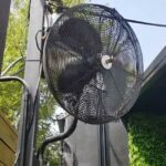 Protecting Your Chickens From Overheating | Star Milling Co.