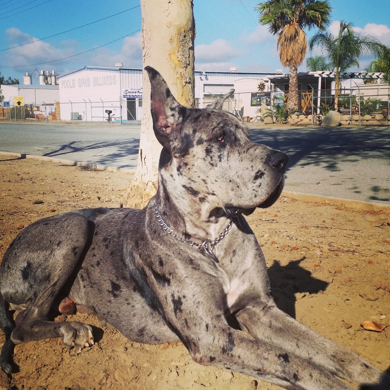 Star Milling Automation - Star Milling Co.